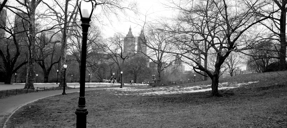 Central Park Path - BW