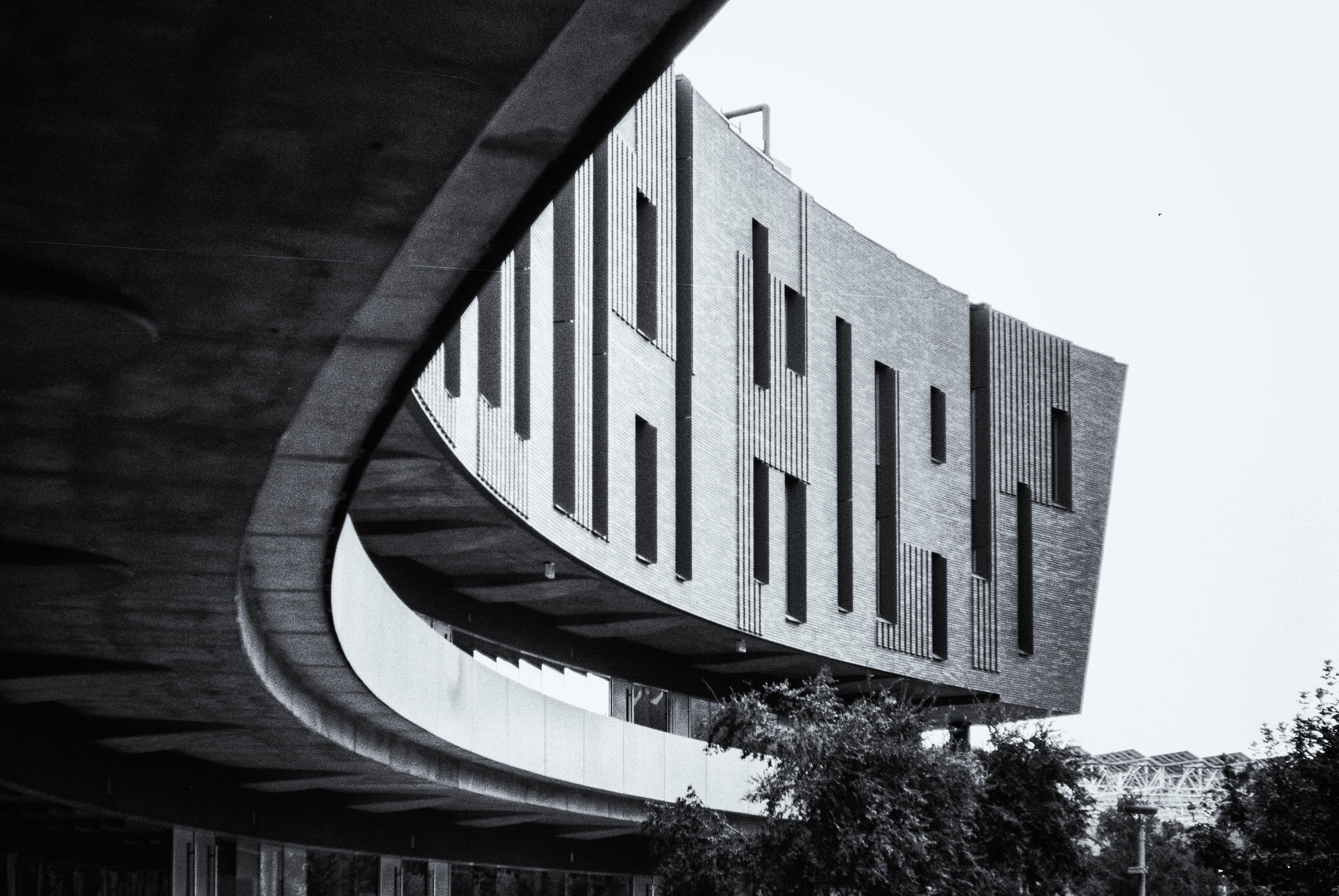 Educational Curve Photography By CyberShutterbug