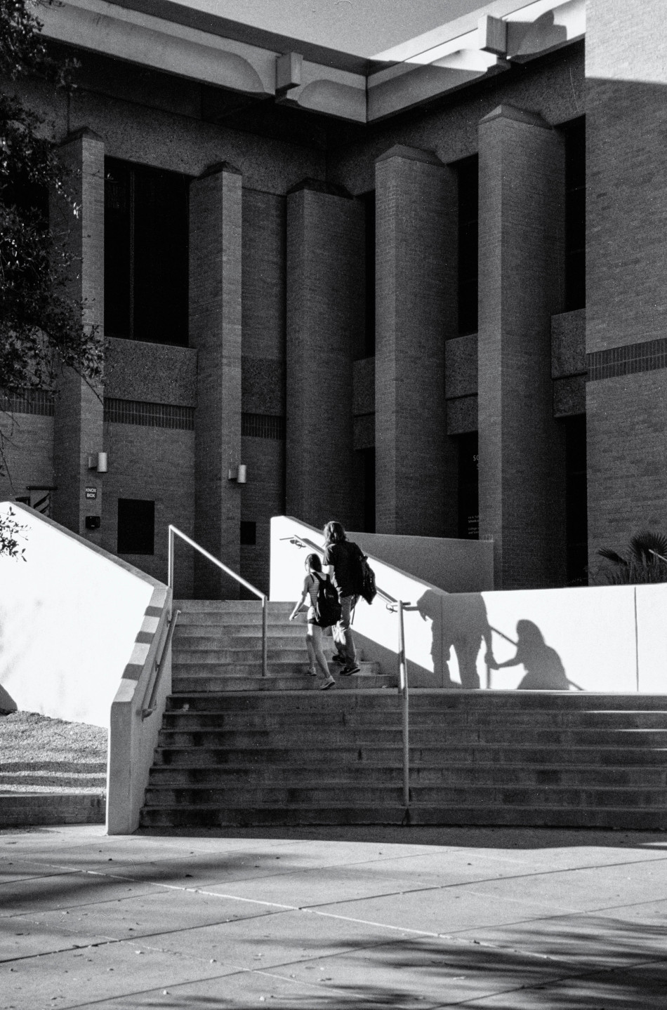 Off to Class Together – Photography by CyberShutterbug