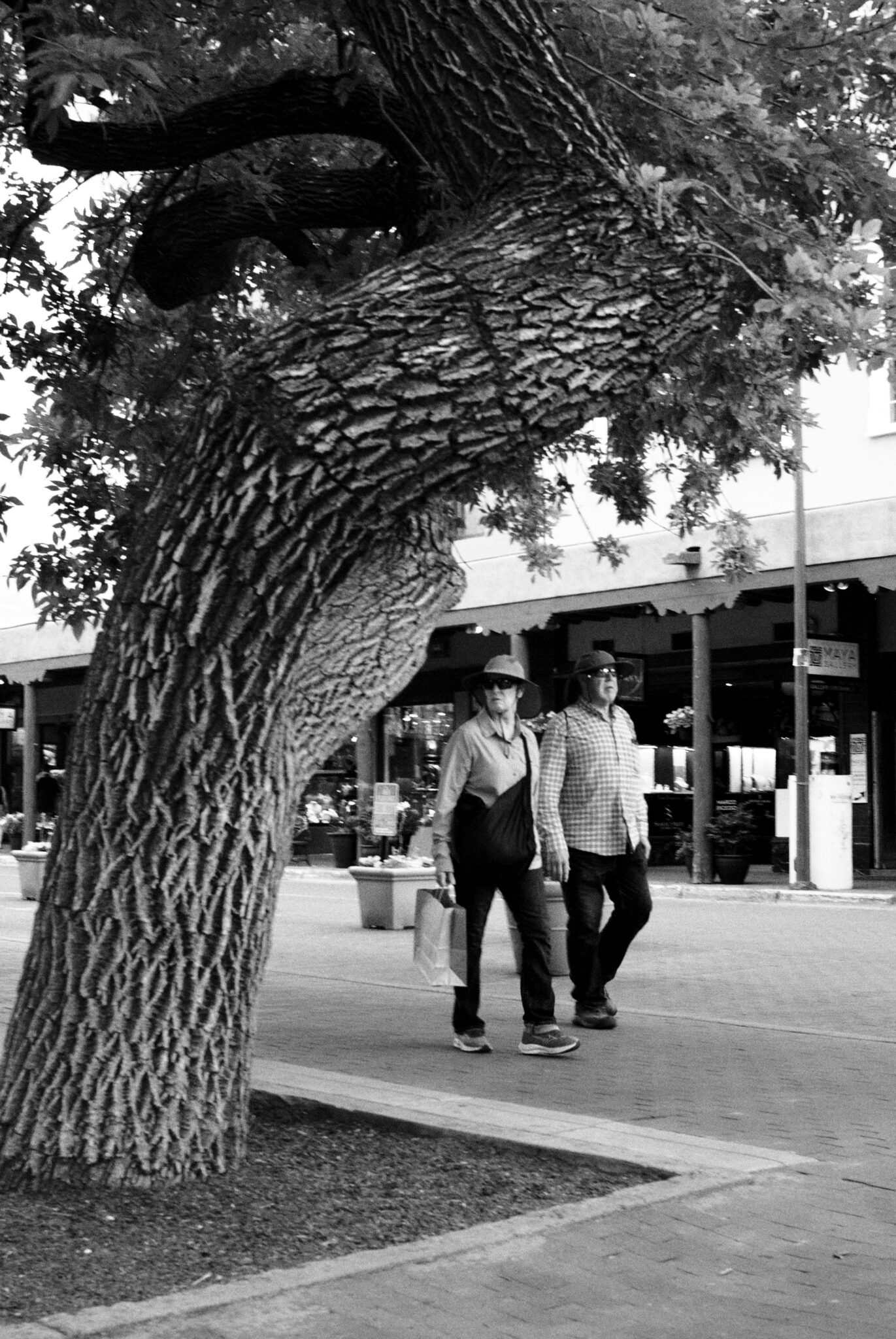 Couple and Tree – Photography by CyberShutterbug