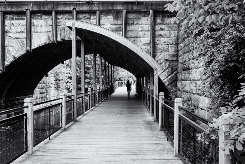 Bridge Walk with Dog – Photography by CyberShutterbug
