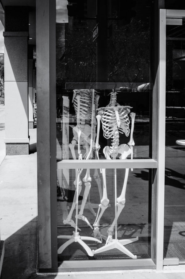 March 2017 – Photography by CyberShutterbug