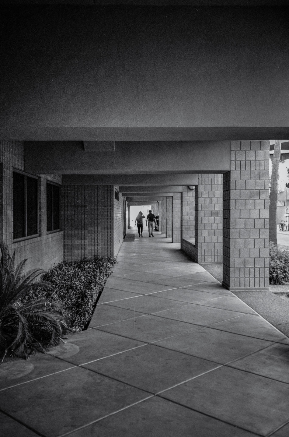 Arizona State University Photography By Cybershutterbug
