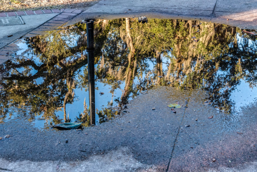 Georgia – Photography by CyberShutterbug