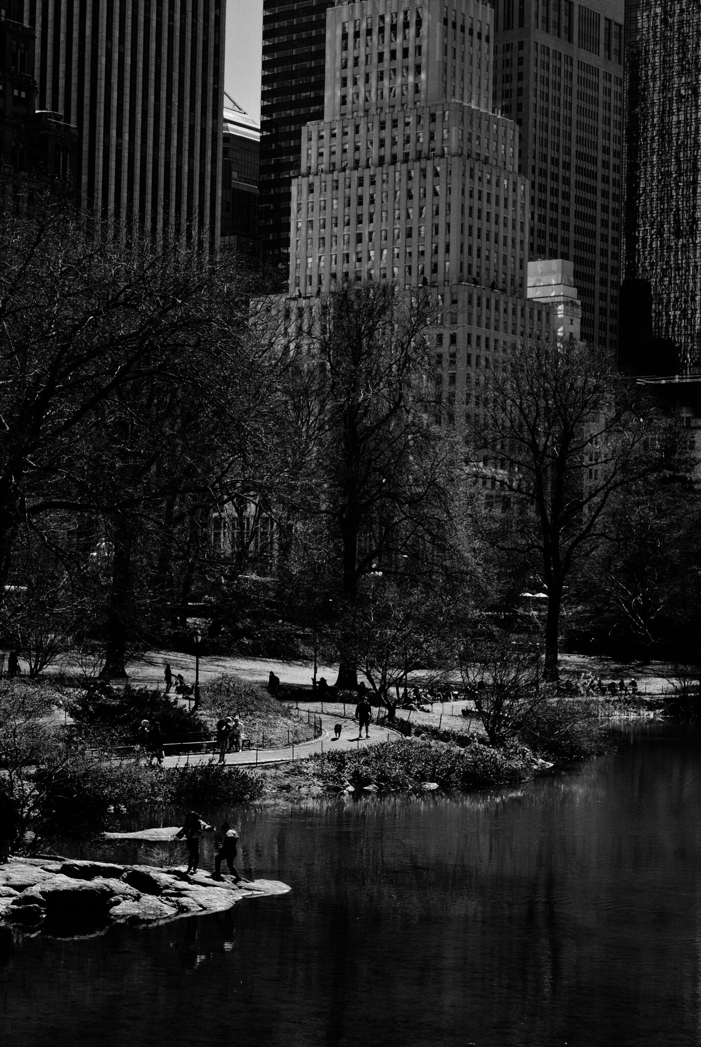 Spring in Central Park – Photography by CyberShutterbug
